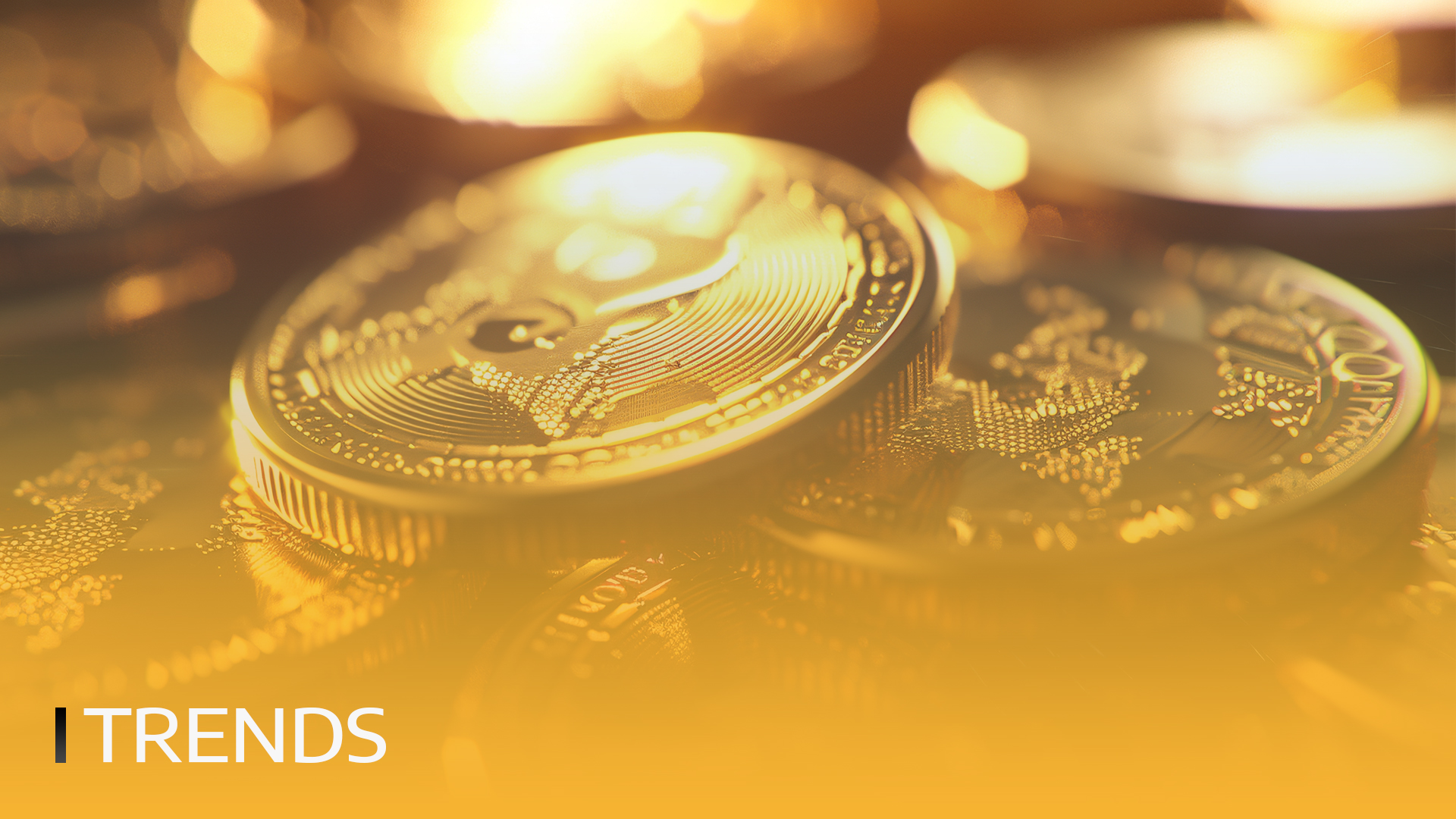 Stablecoin Adoption Soars Going Into 2025